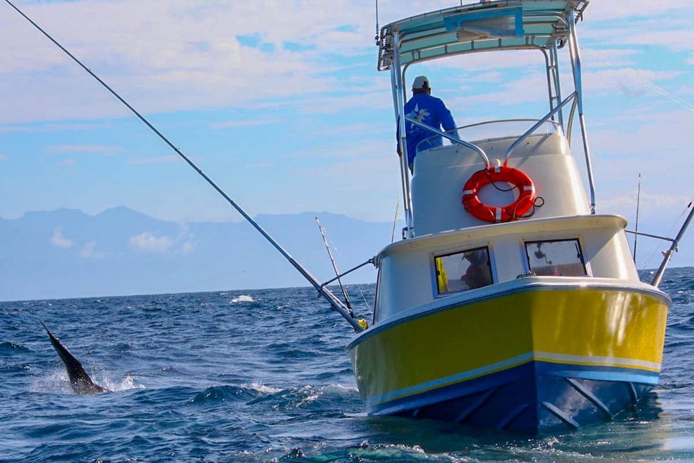 2018 TROPIC STAR LODGE BILLFISH TOURNAMENT | Tropic Star