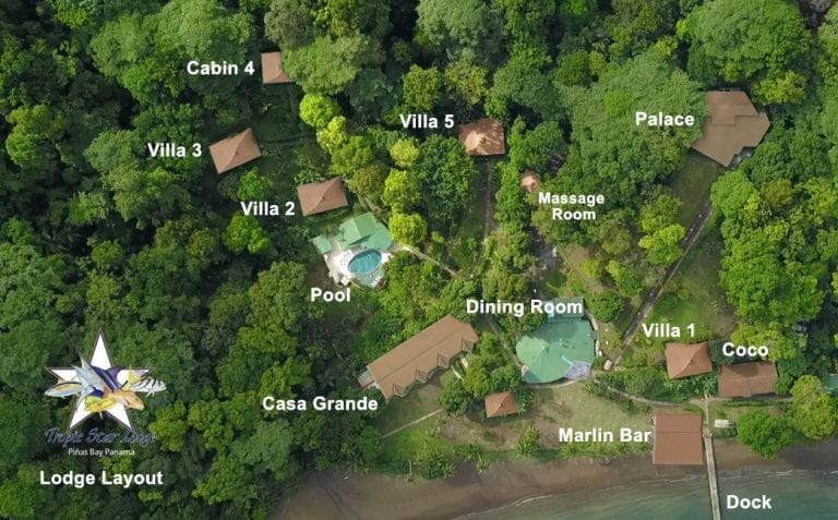 The Lodge | Tropic Star