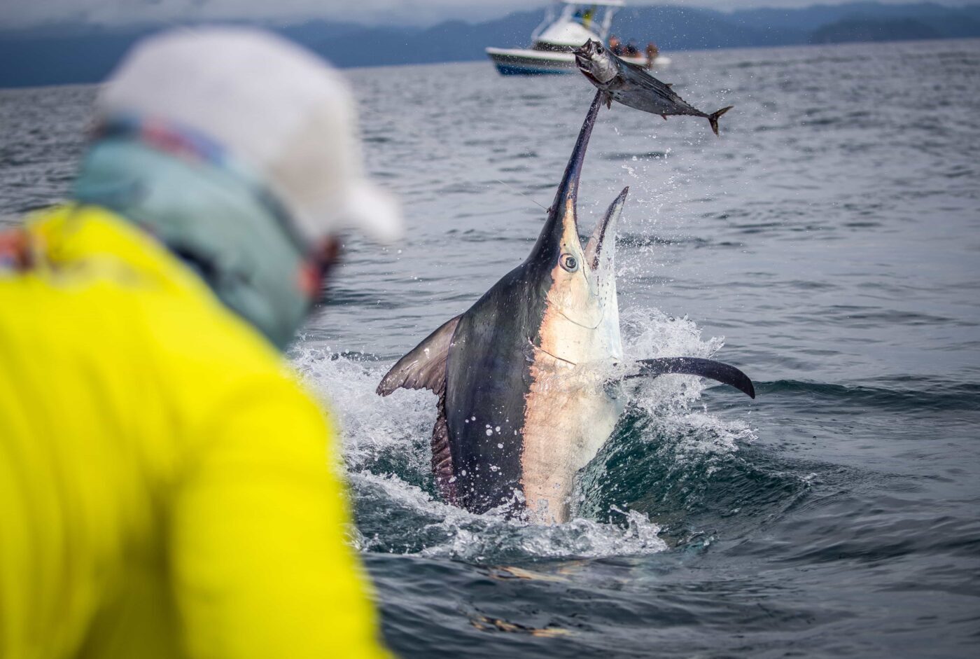 2024 Black Marlin Season Round Up | Tropic Star